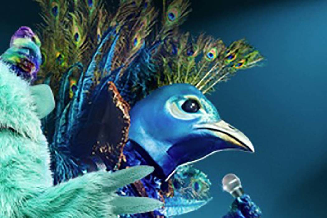 Donny Osmond revealed as Peacock in ‘Masked Singer’ | Kats!