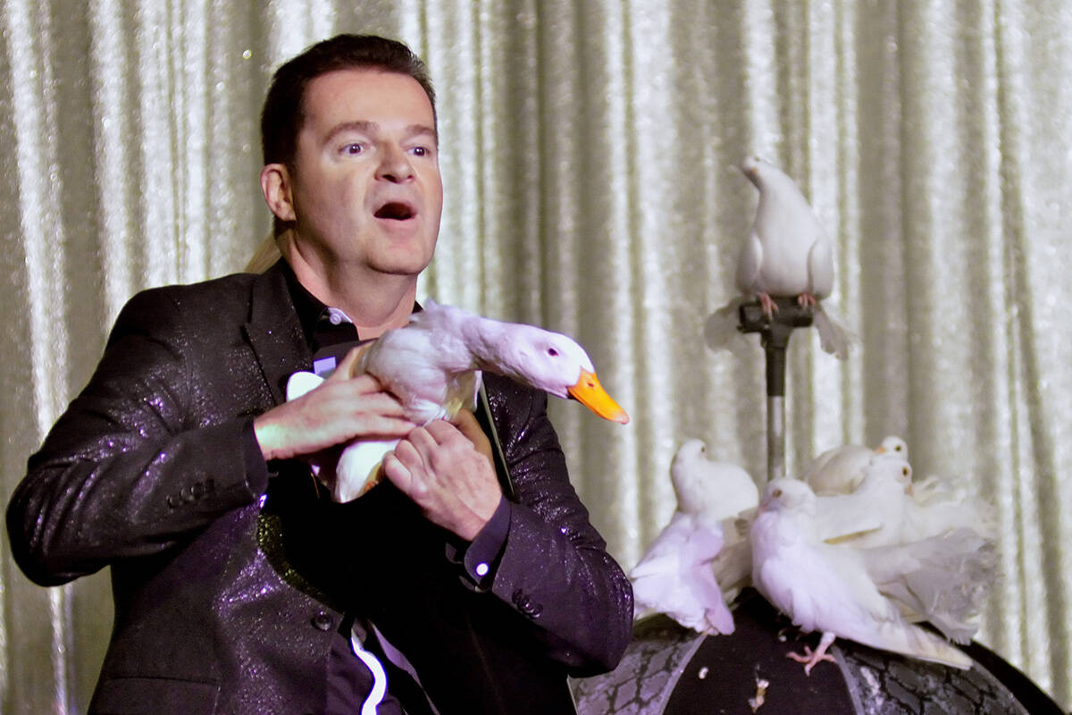 Dirk Arthur dies at 63; last Las Vegas headliner to perform with wild ...