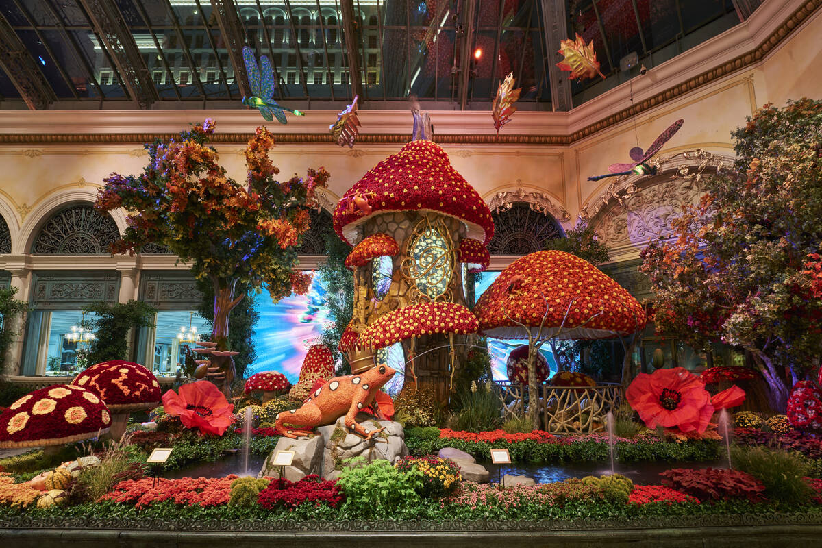 Bellagio debuts fall Conservatory & Botanical Gardens display | Free